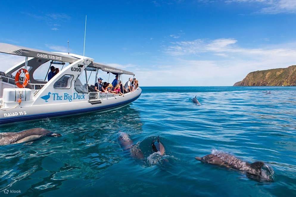 Tur Petualangan Samudra Selatan dari Pelabuhan Victor - Klook Indonesia