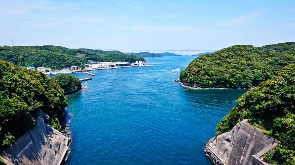 Busan - Tsushima Island Ferry by PANSTAR Cruise - Klook United States