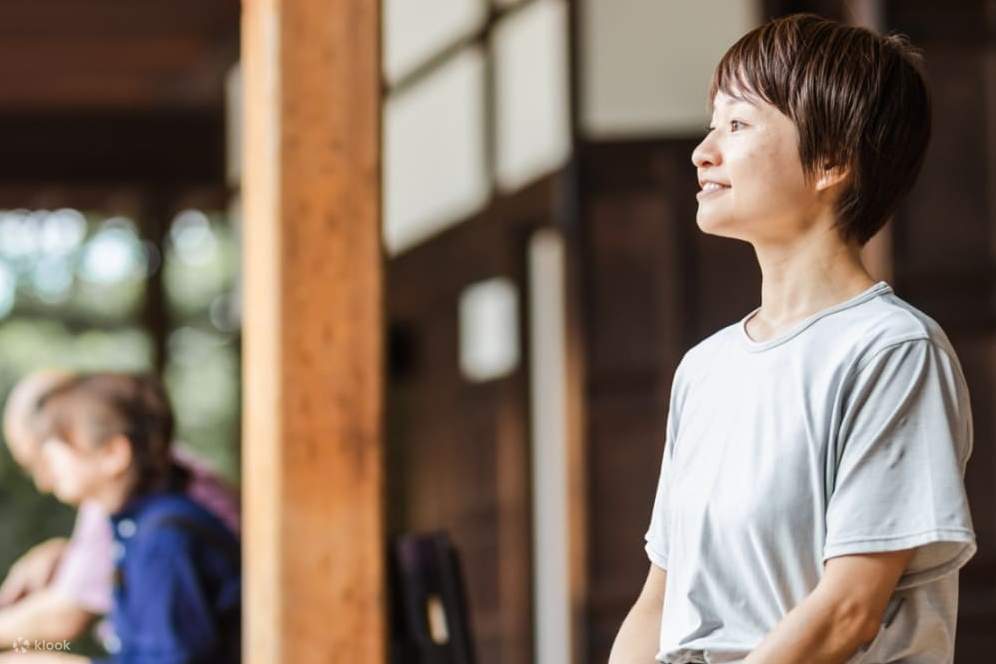 Intro to Kyoto Historic Jewel Private Tour - Klook