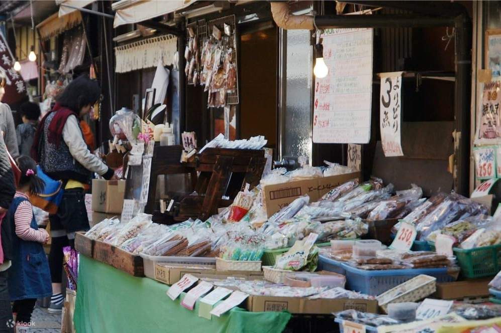 Tour privato personalizzato di un giorno Koedo Kawagoe da Tokyo - Klook ...
