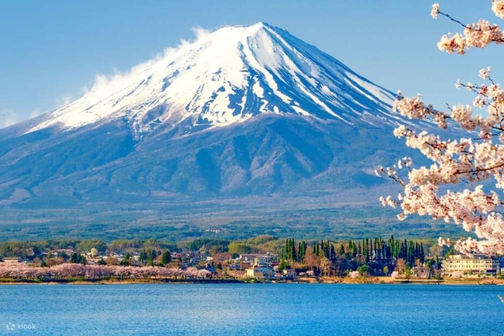 Kawaguchiko Private Day Tour from Tokyo - Klook