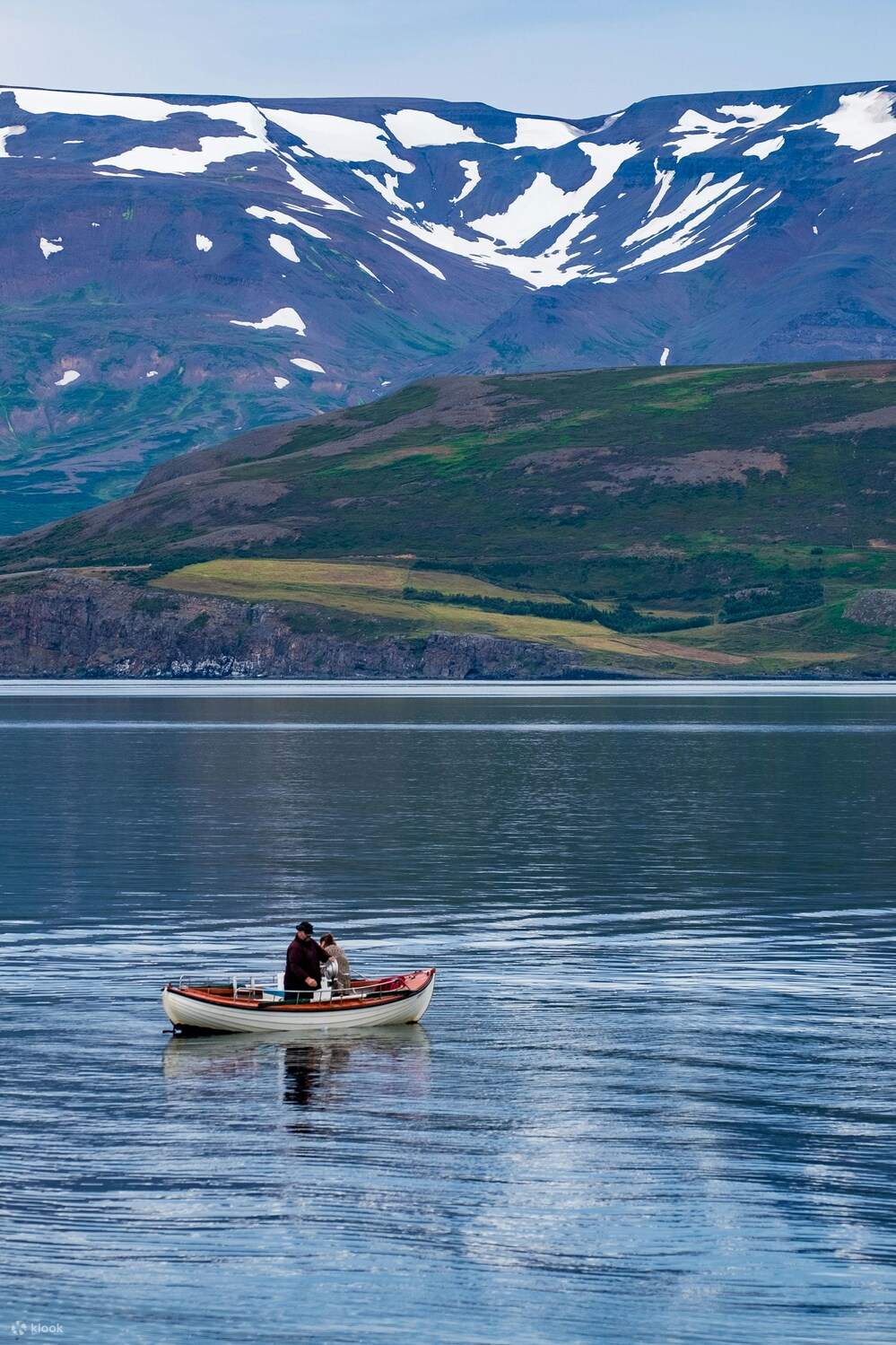 Akureyri: Private Whale Watching and Arctic Coastline Tour - Klook