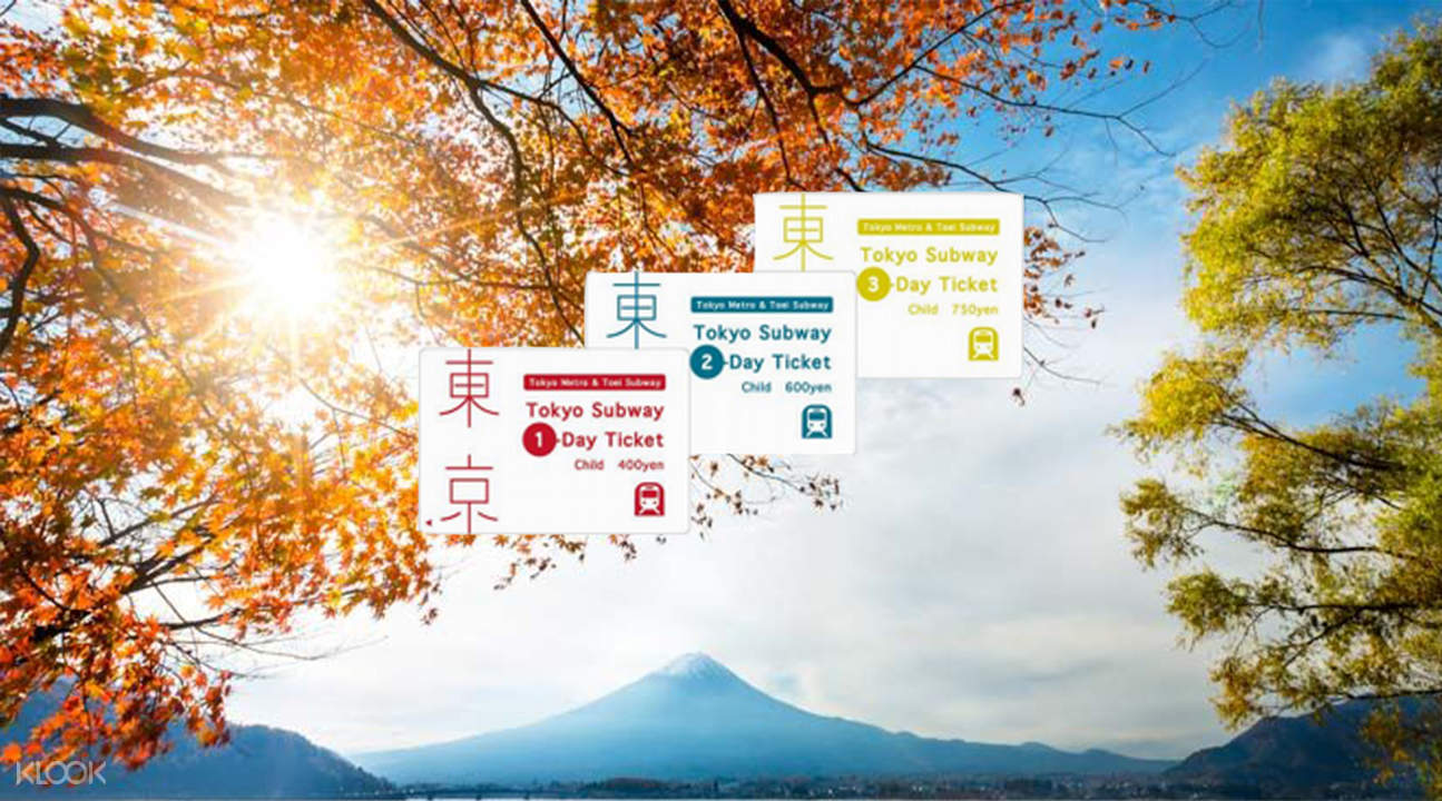 Buy Tokyo Subway Ticket Online | 24, 48 or 72 Hours Tokyo Subway Pass