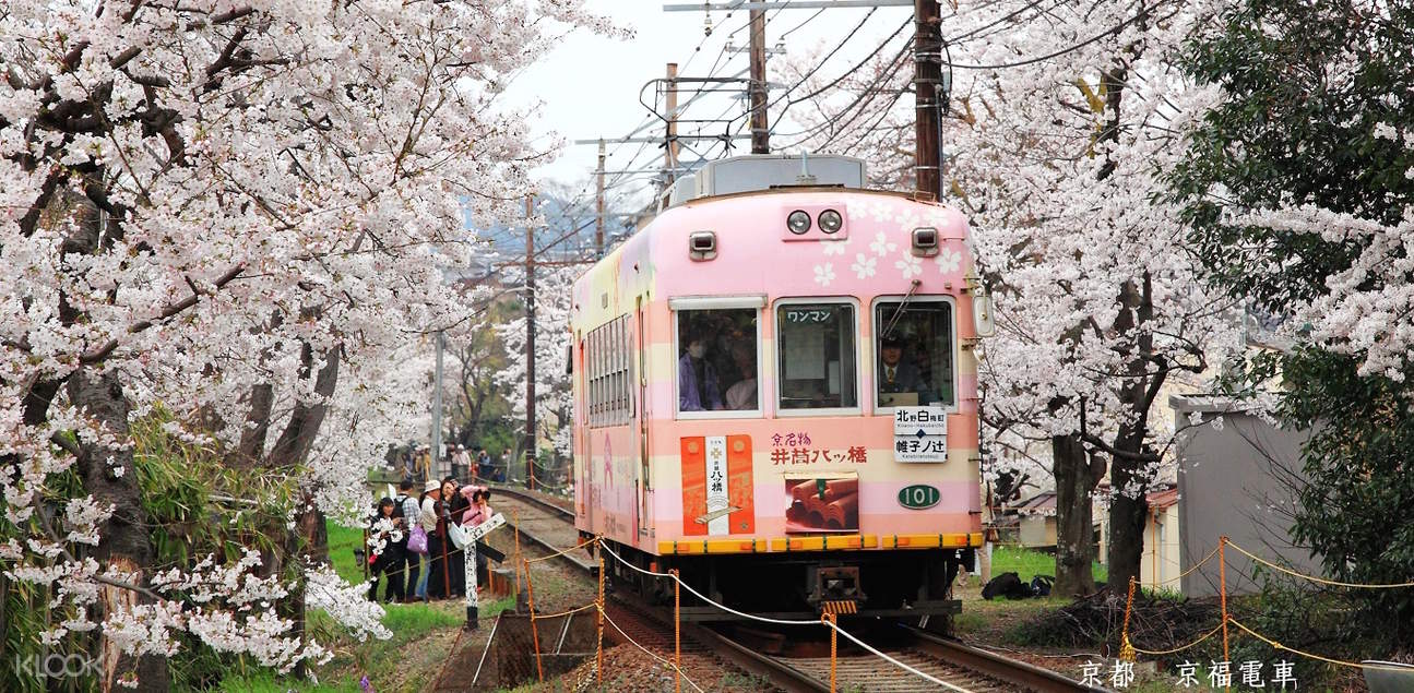 Randen + Kyoto Bus or Subway 1 Day Pass