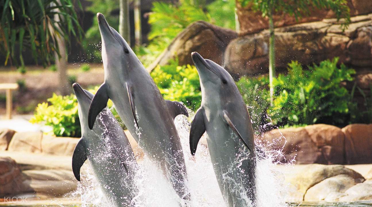 Sea World 1 Day Entry