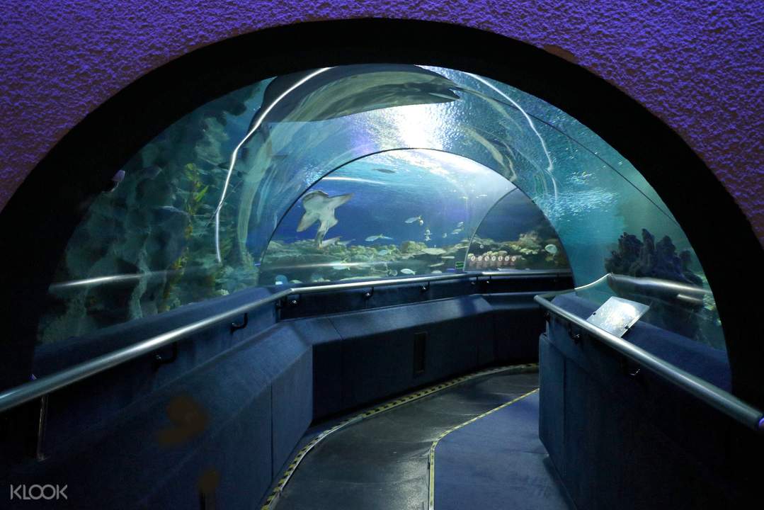 Tiket Masuk Petronas Twin Towers & Aquaria KLCC, Kuala Lumpur, Malaysia Tiket Masuk Petronas Twin Towers & Aquaria KLCC, Kuala Lumpur, Malaysia