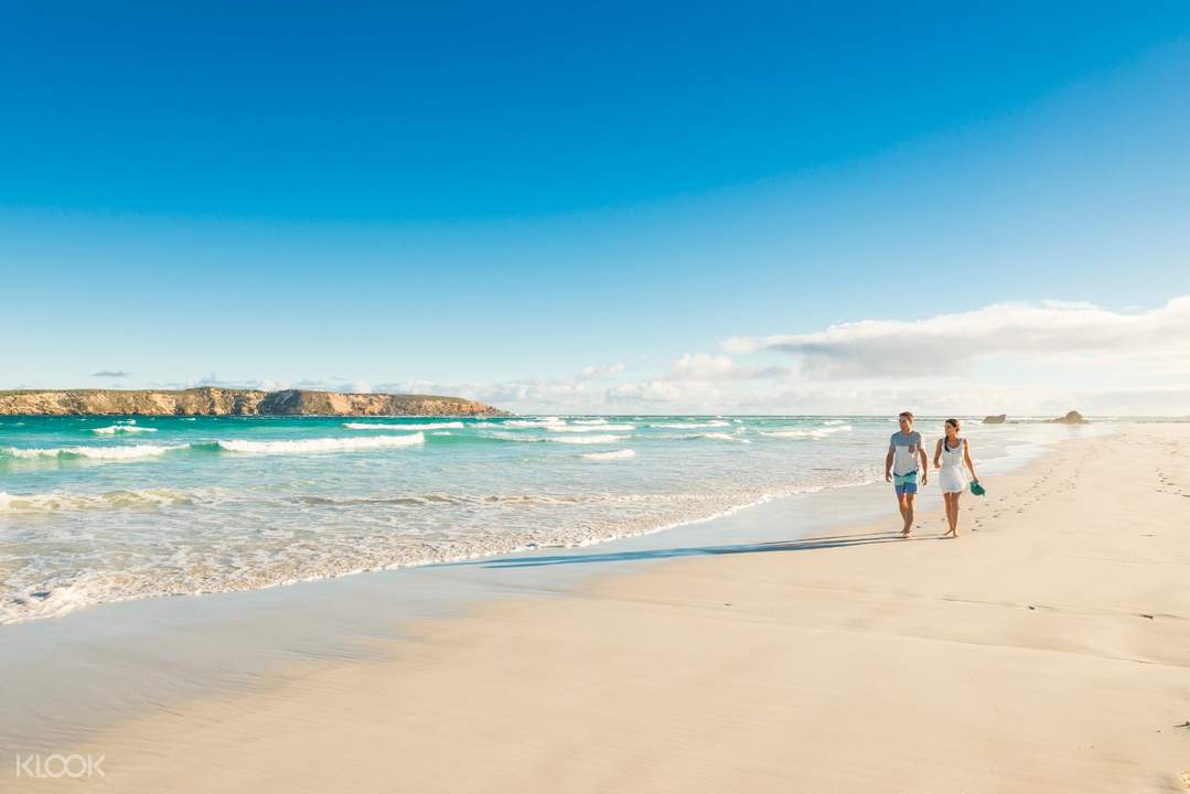 Coffin Bay with Fabulous Oyster Lease Tour from Port Lincoln - Klook US