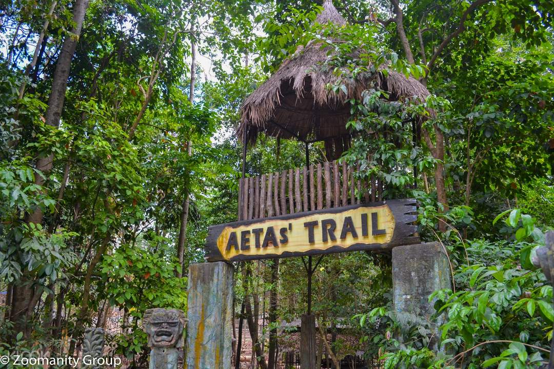 Zoobic Safari Admission Ticket in Subic from Manila, Philippines