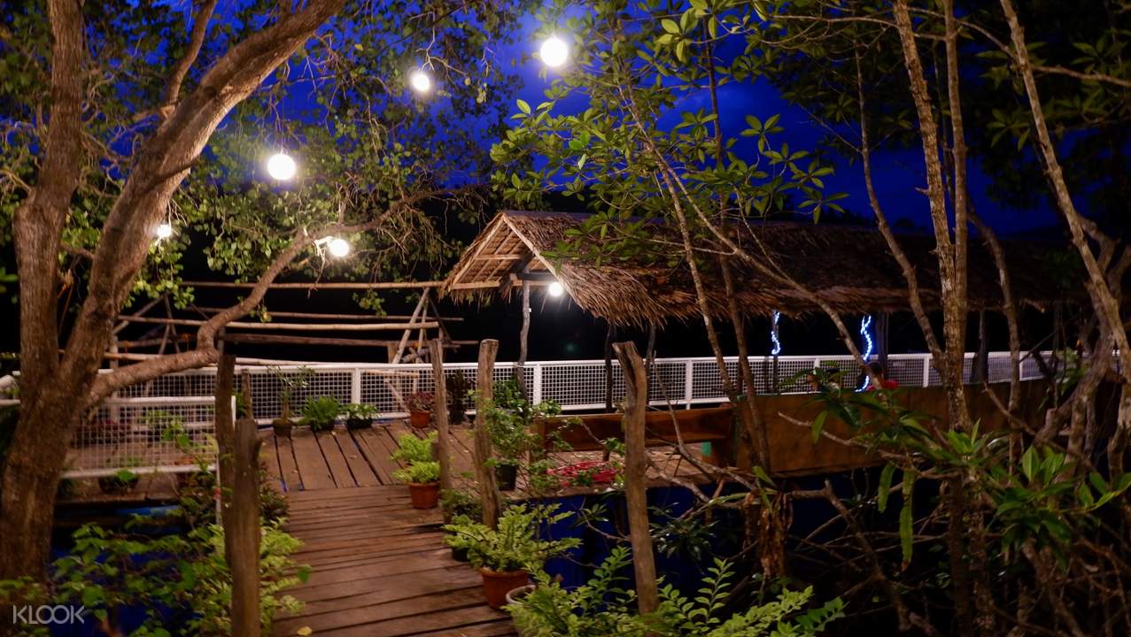 Firefly Watching in Puerto Princesa