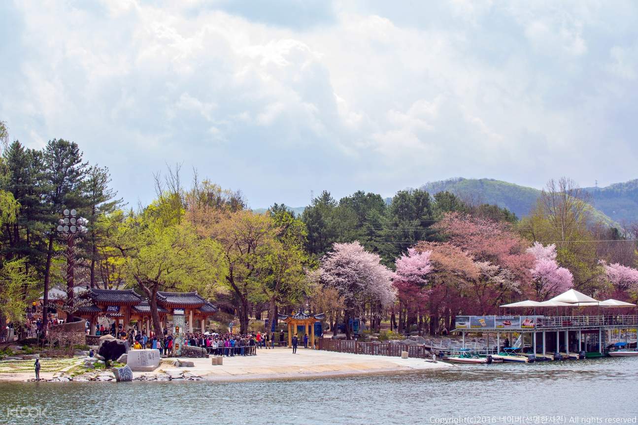 Book Nami Island Round Trip Transfer and Admission Ticket from Seoul ...