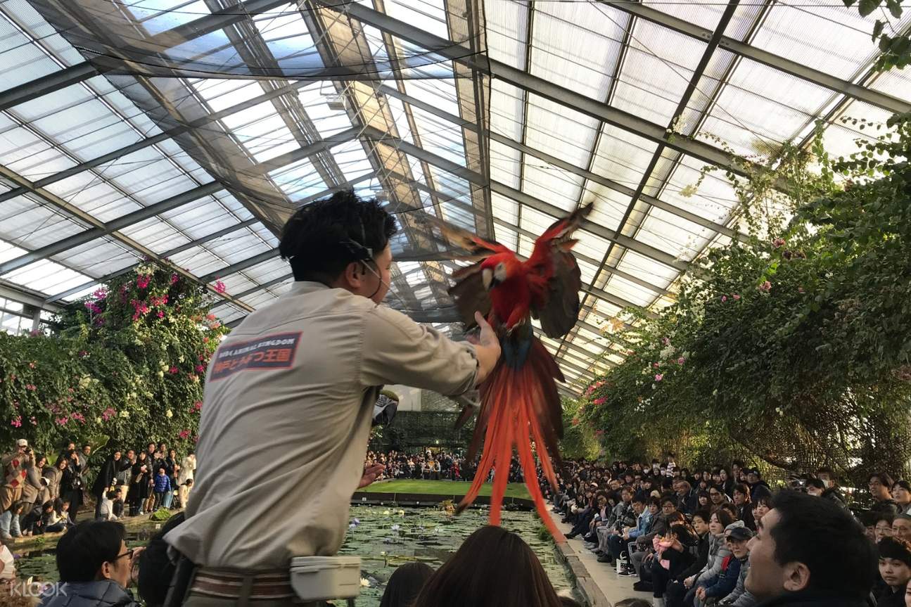 Kobe Animal Kingdom Ticket - Klook Hong Kong