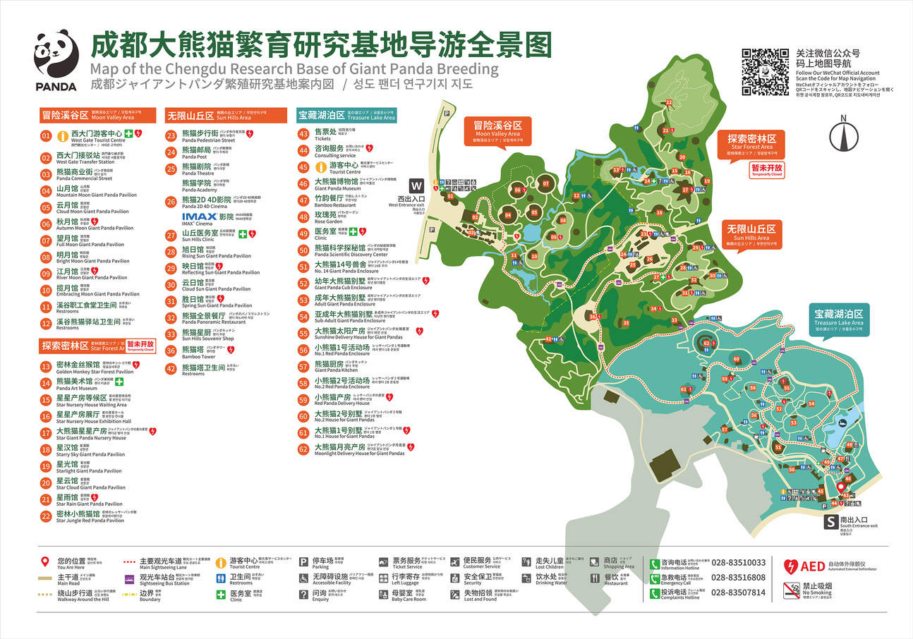 Chengdu Panda Base + Sanxingdui Museum / Dujiangyan / Leshan Giant ...