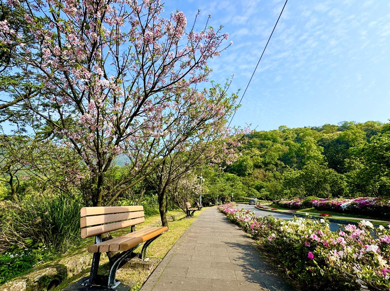 Yangmingshan & Beitou Day Tour (From Ximending)