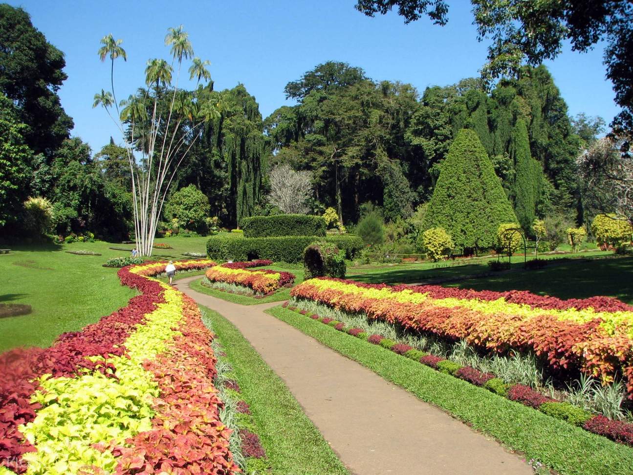 Kandy City Day Tour