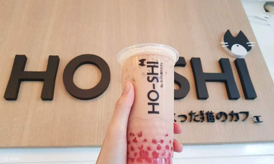 HOSHI Cake in Chiang Mai - Klook United States US