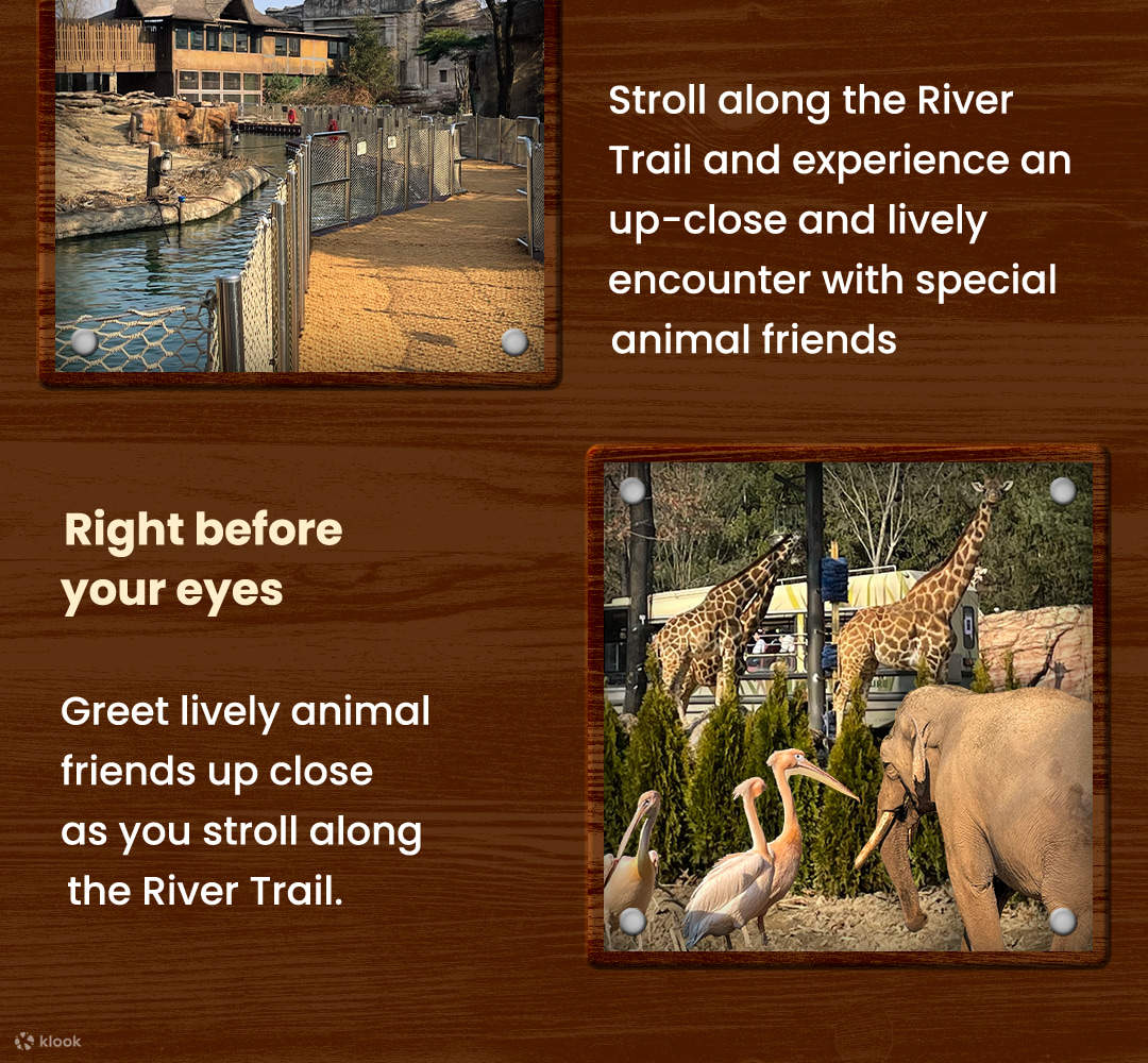 Everland Korea River Trail Adventure Ticket - Klook