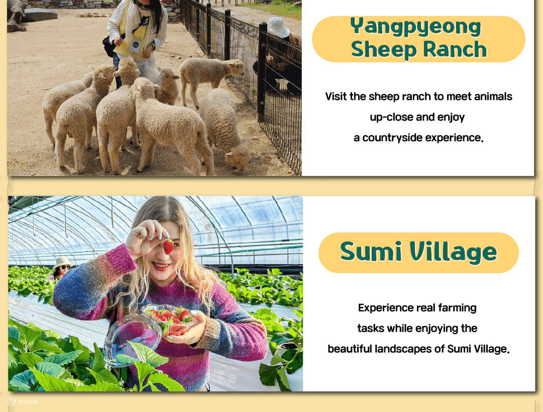 Yangpyeong / Sheep Ranch / Dumulmeori / Traditions Tour (EG Tour) - Klook