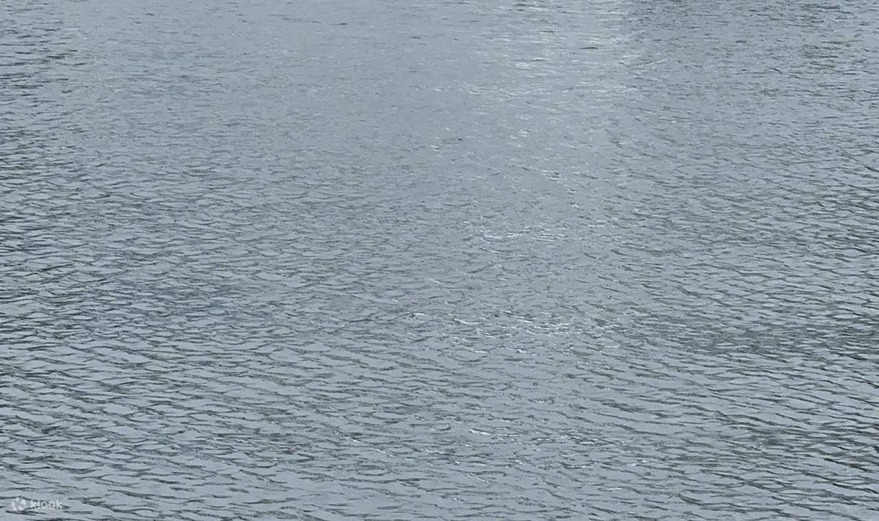 Popular Mt. Fuji amphibious bus day tour｜KABA BUS/Swan Lake Cruise ...