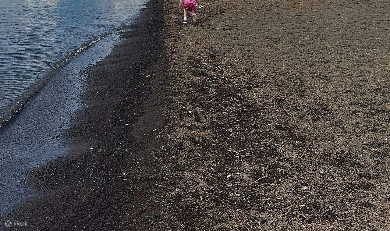 Popular Mt. Fuji amphibious bus day tour｜KABA BUS/Swan Lake Cruise ...