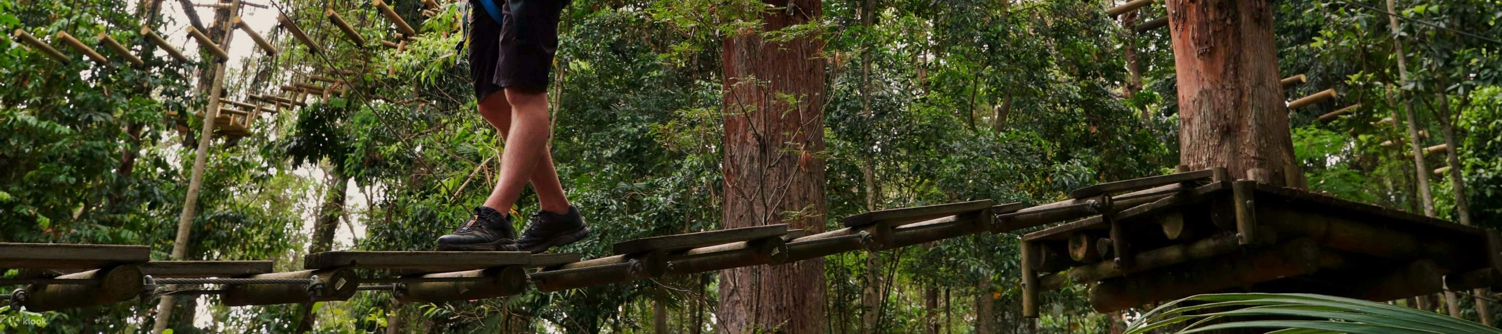 TreeTop Challenge at Currumbin Wildlife Sanctuary - Klook