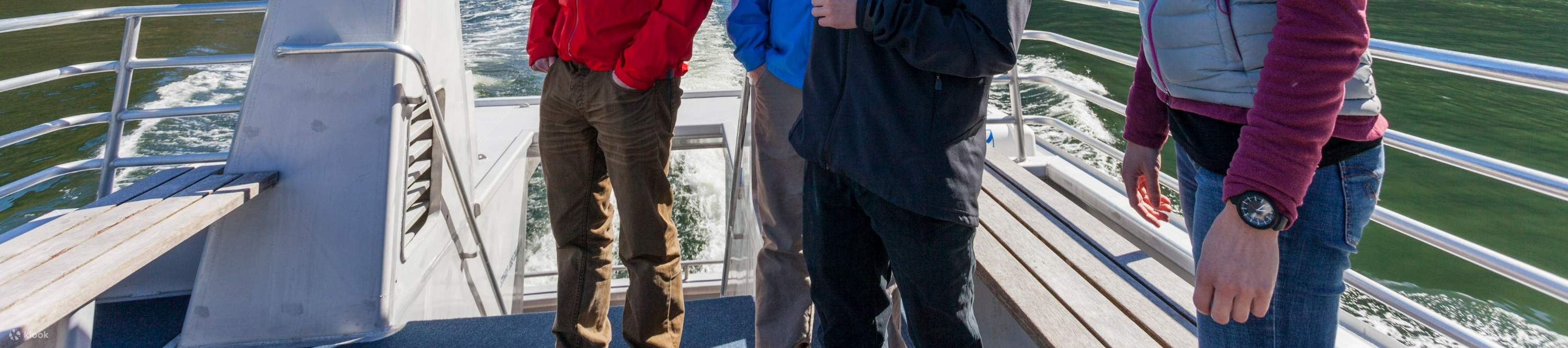 Milford Sound Cruise Only from Milford Sound - Klook