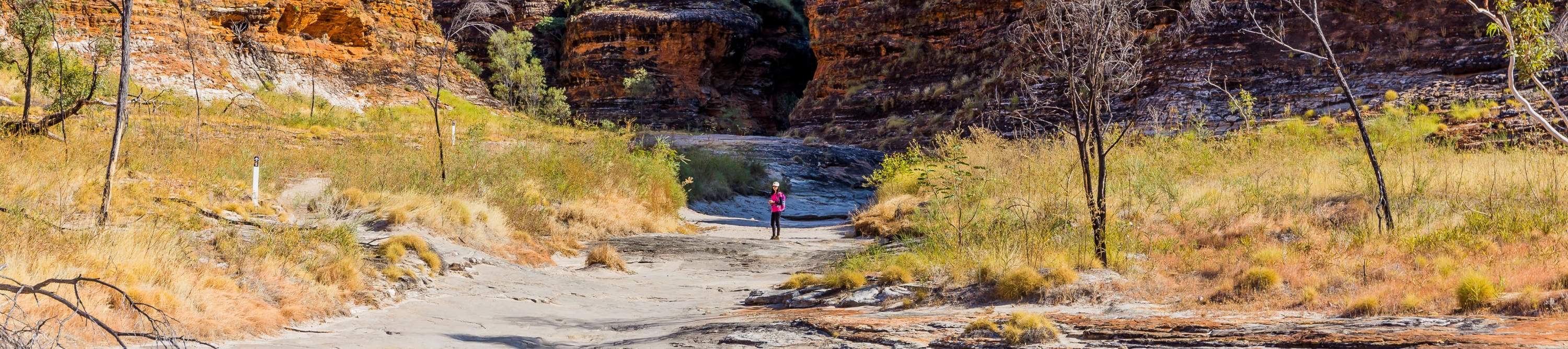Bungle Bungle Explorer Tour from Broome - Klook