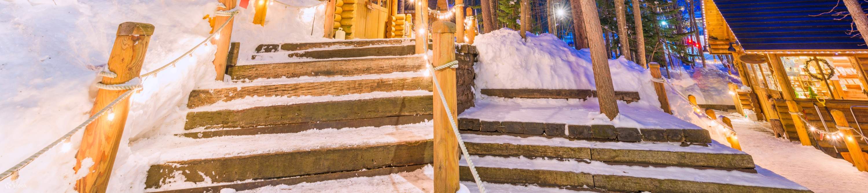 Asahiyama Zoo & Forest Fairy Terrace & Shikisai Hill One Day Tour ...