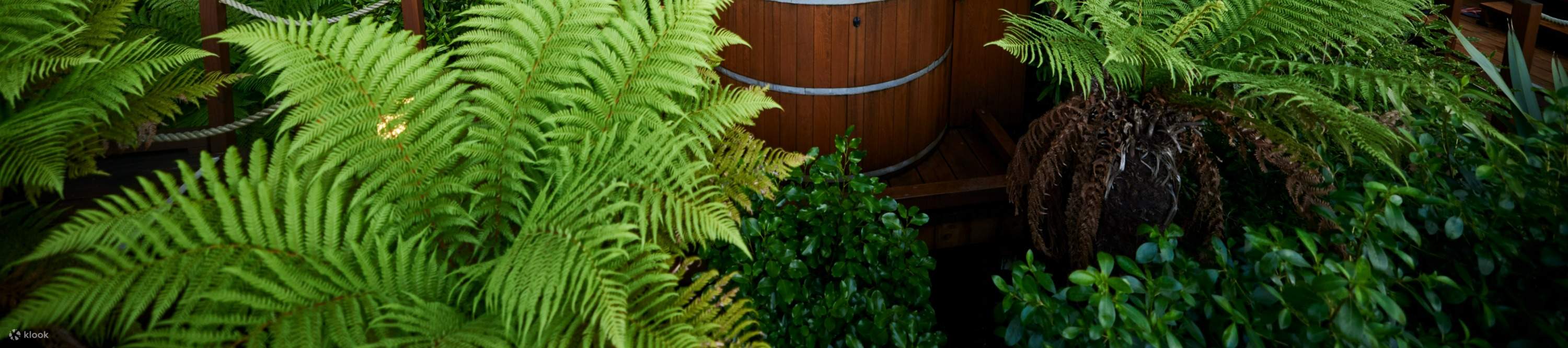 Secret Spot Cedar Hot Tubs in Rotorua - Klook New Zealand