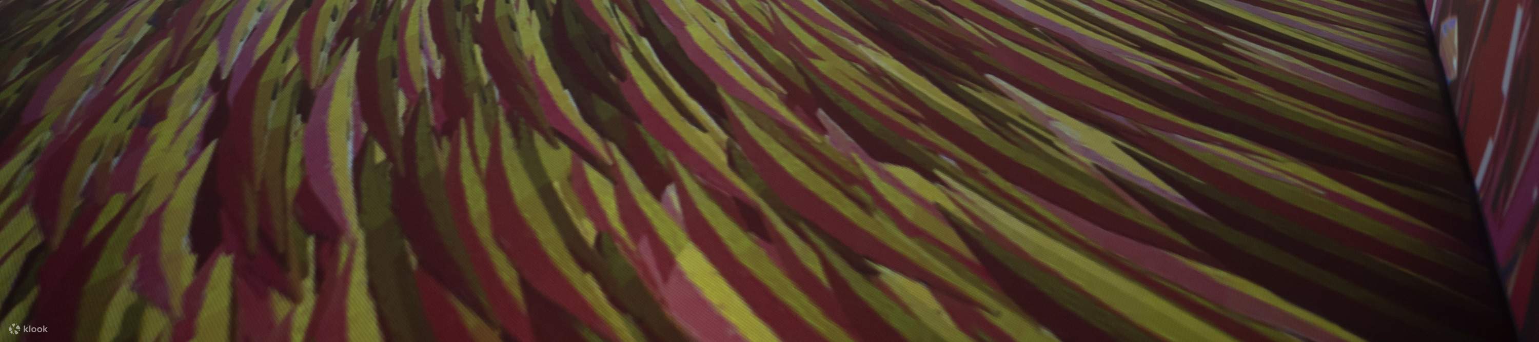 Songlab Digital Art Centre Ticket in Hue - Klook