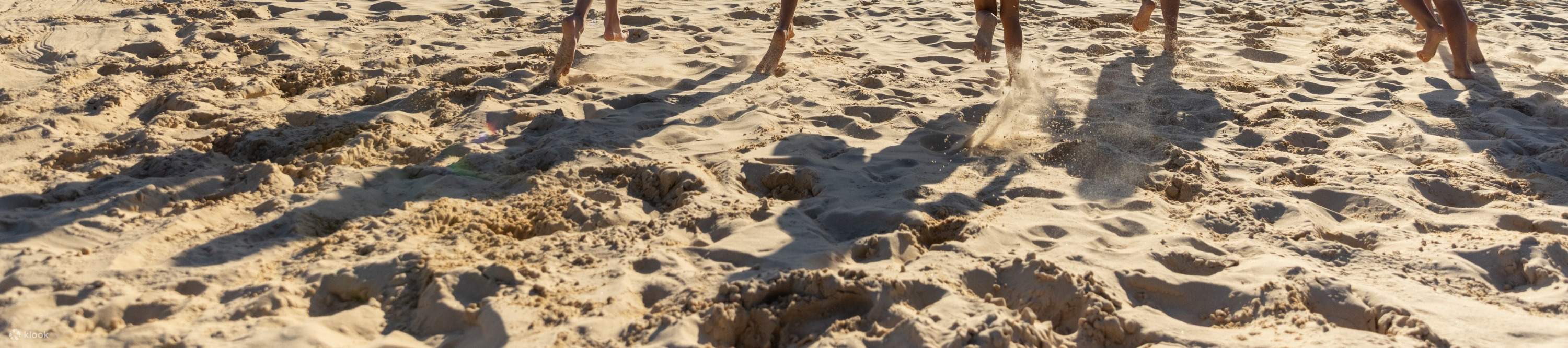 Daily Unlimited Sandboarding in Port Stephens - Klook