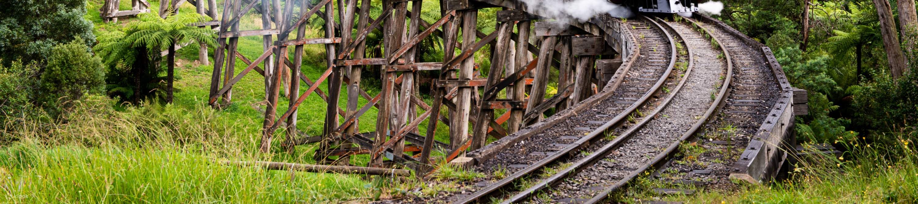 Puffing Billy and Penguins Day Tour from Melbourne - Klook Australia