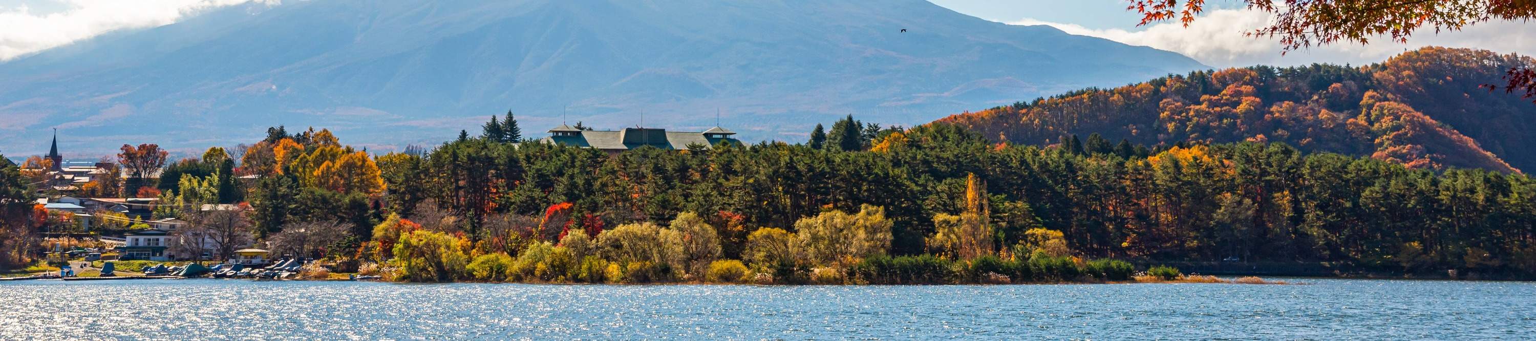 Mount Fuji, Owakudani, and Hakone Join In Bus Tour with Cherry Blossom ...