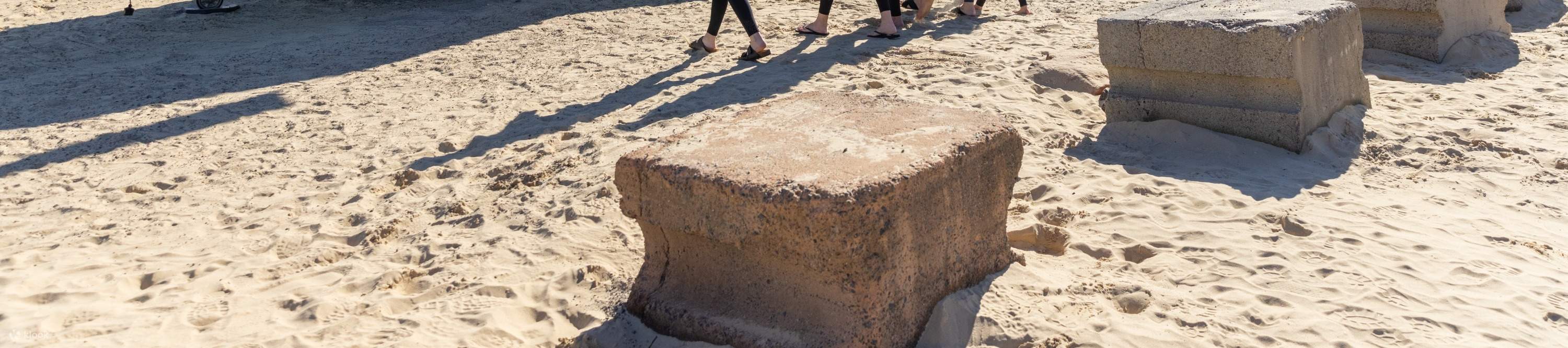 Daily Unlimited Sandboarding in Port Stephens - Klook