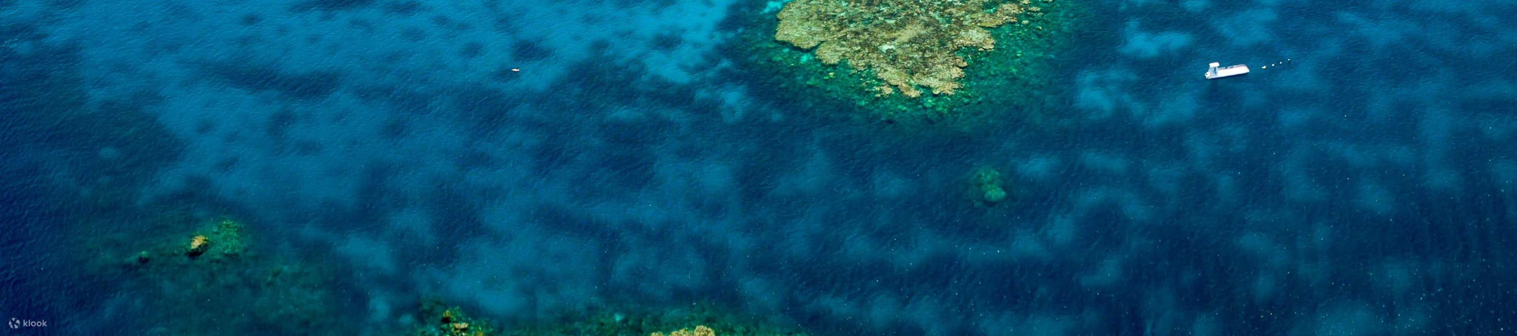 Outer Barrier Reef from Port Douglas - Klook
