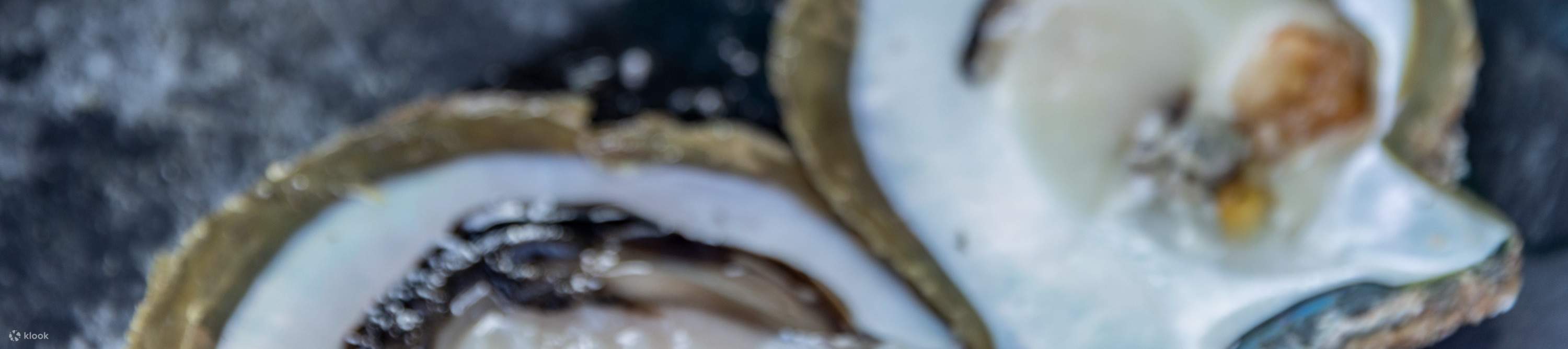 Paspaley Pearl Farm Tour - Klook