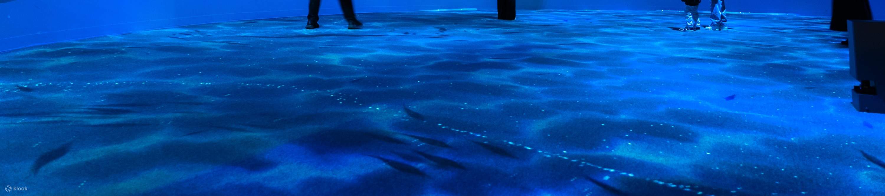 AOAO SAPPORO - Klook