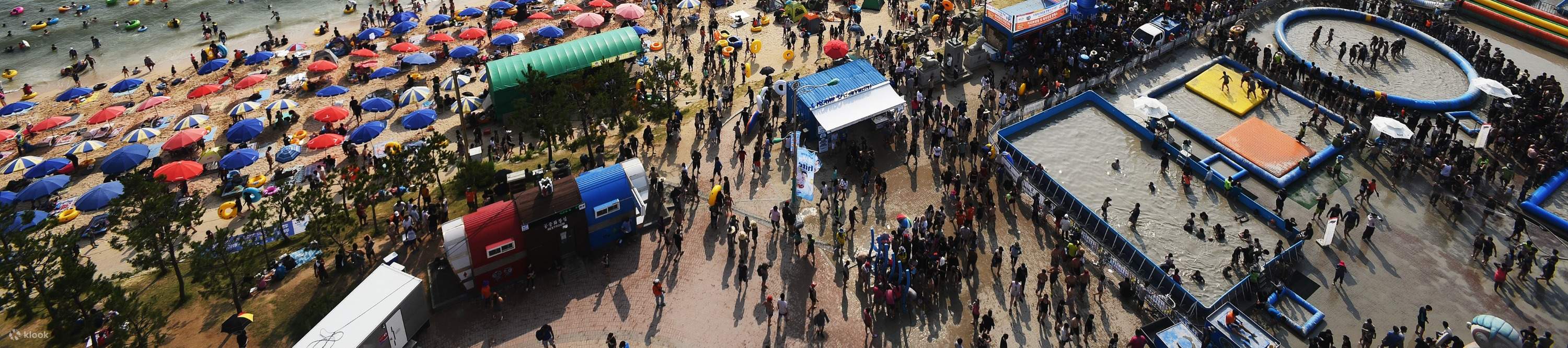 2024 Boryeong Mud Festival Tour from Seoul - Klook