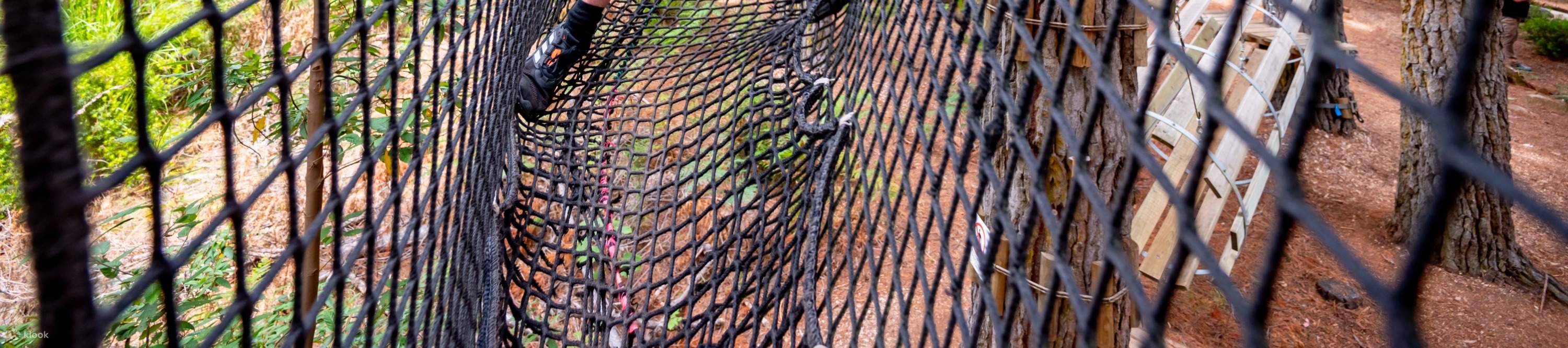 Hollybank Wilderness Adventures in Launceston - Klook