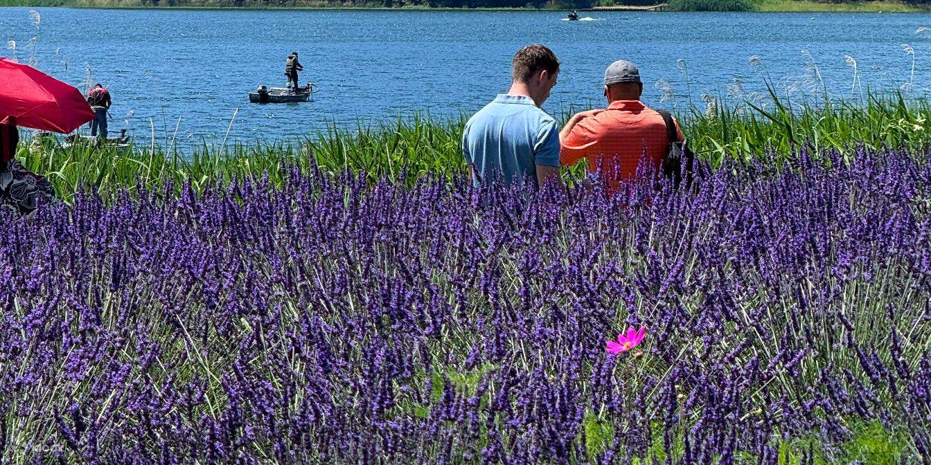 One-day flower viewing tour｜Mount Fuji flower viewing + Lawson ...
