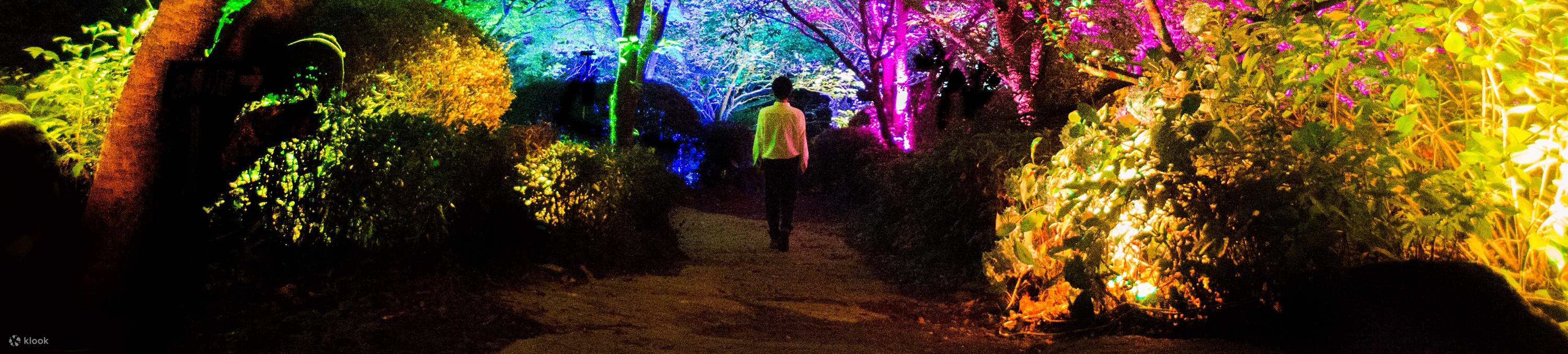 teamLab: A Forest Where Gods Live - GC - Klook