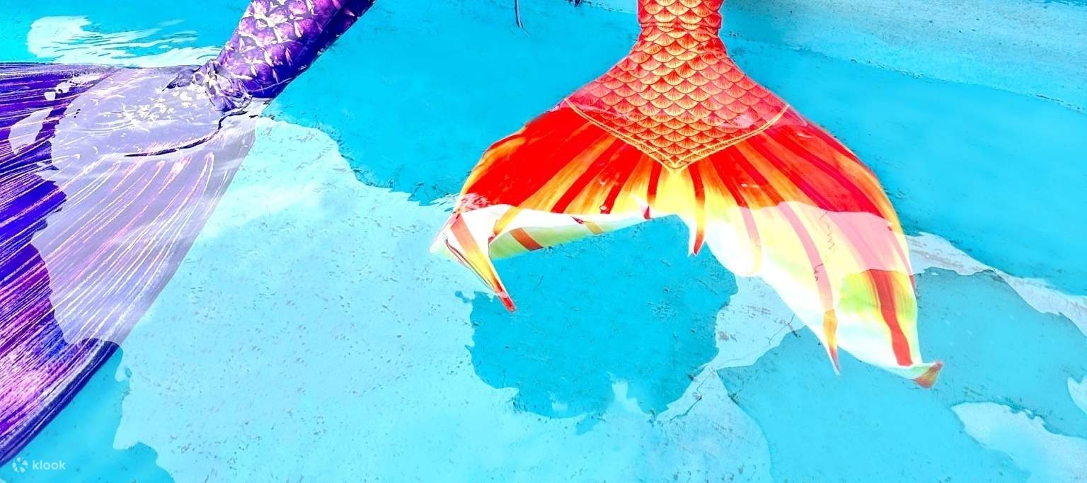 Farglory Ocean Park Mermaid Experience in Hualien - Klook