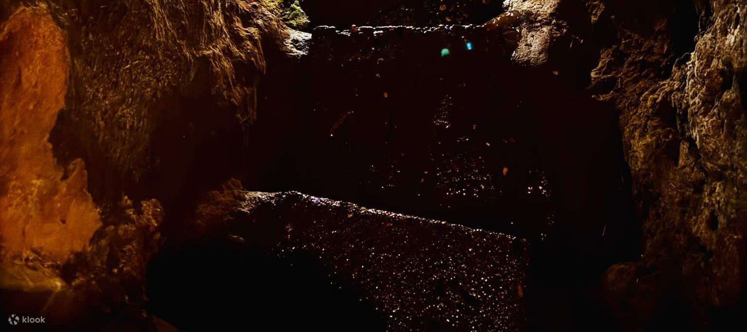 DMZ Historical Sites Small Group Tour, Hue - Klook