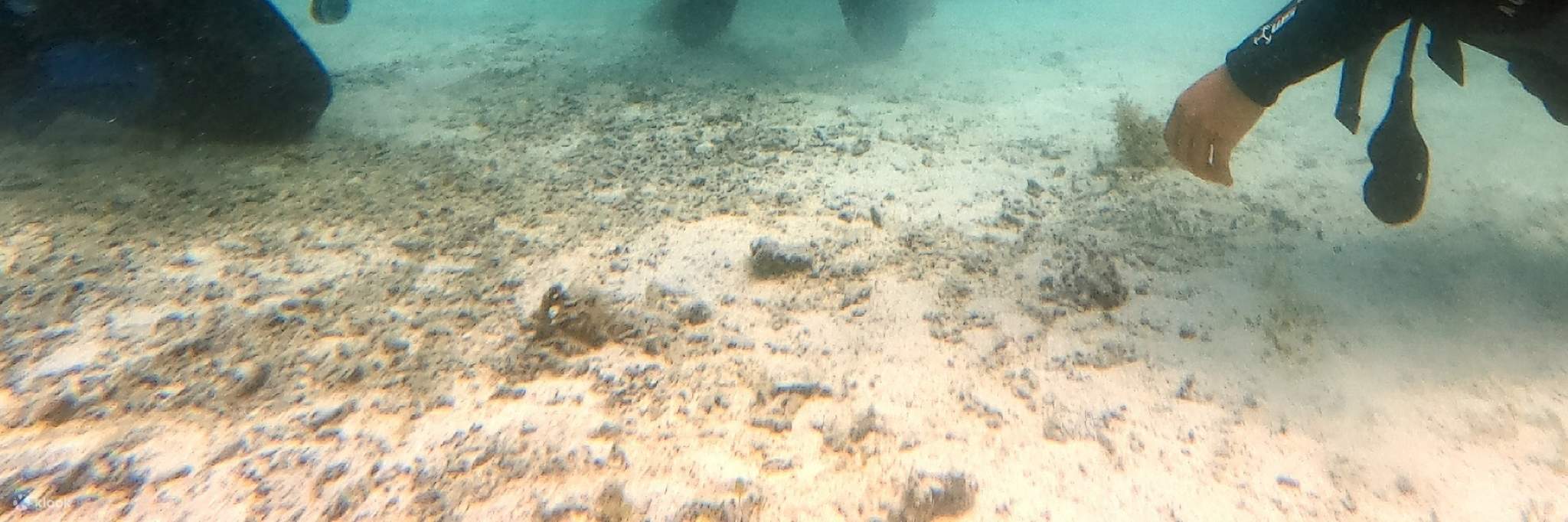 Experience the Underwater World: PADI Discover Scuba Diving in Palawan ...