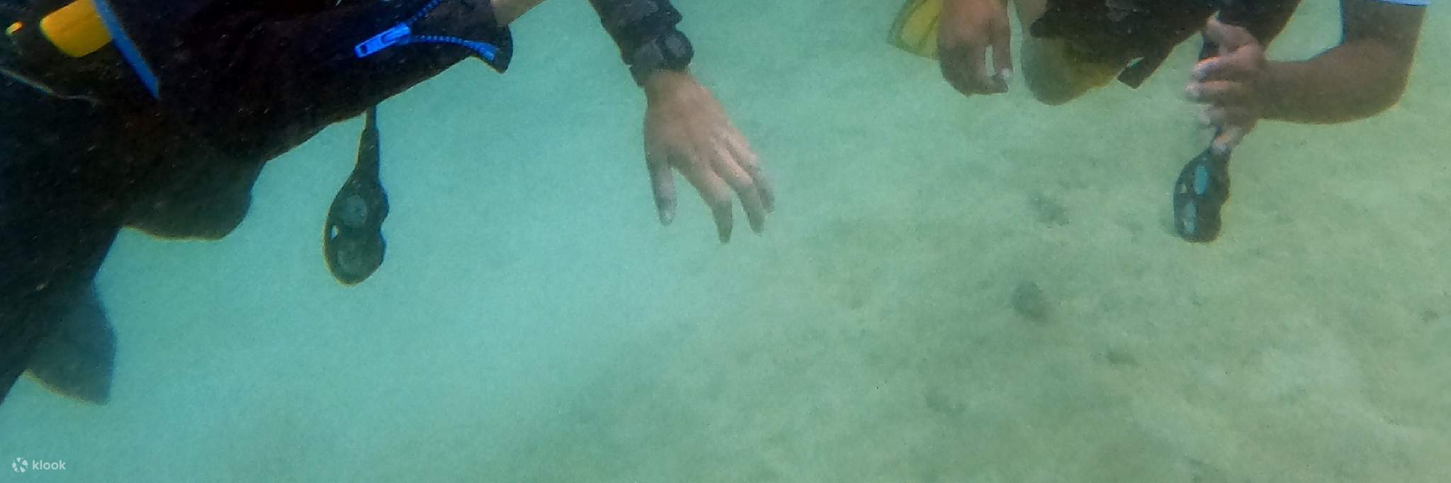 Experience the Underwater World: PADI Discover Scuba Diving in Palawan ...