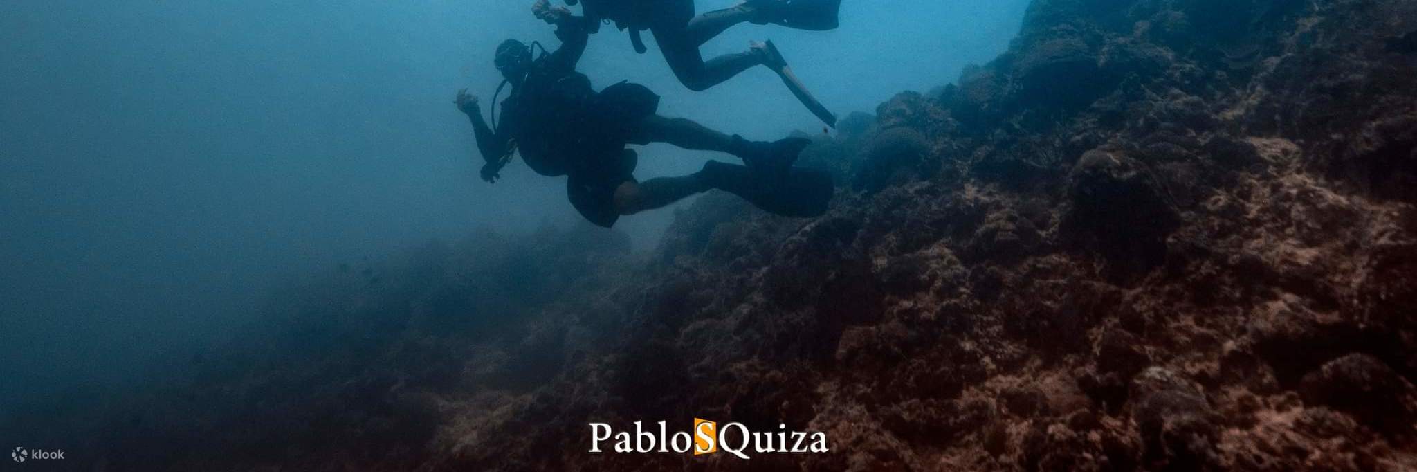 Exciting 1 Night Dive in Moalboal, Cebu with PADI 5 Star Dive Center ...