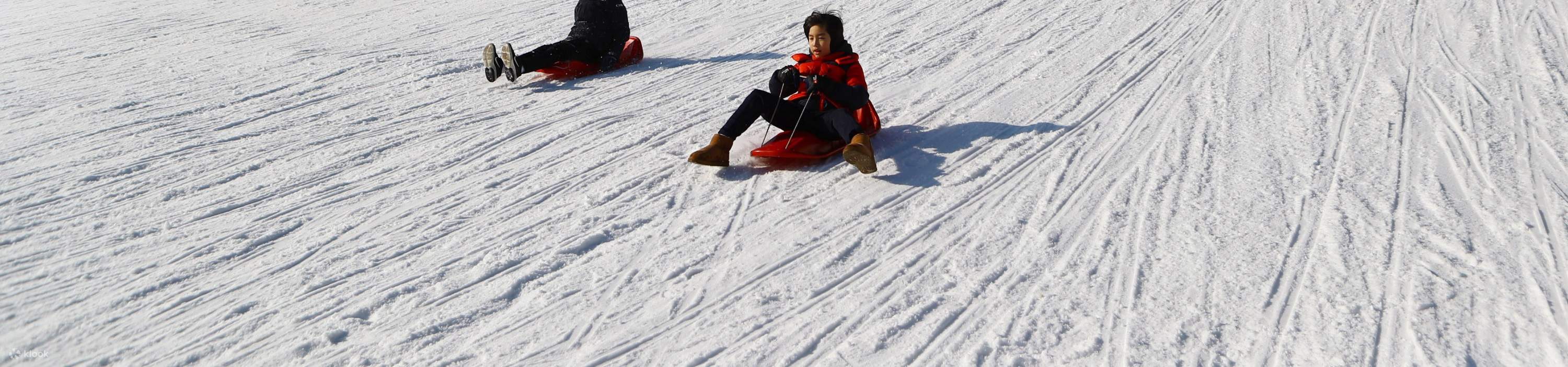 Seoul Land Theme Park Ticket - Klook Singapore