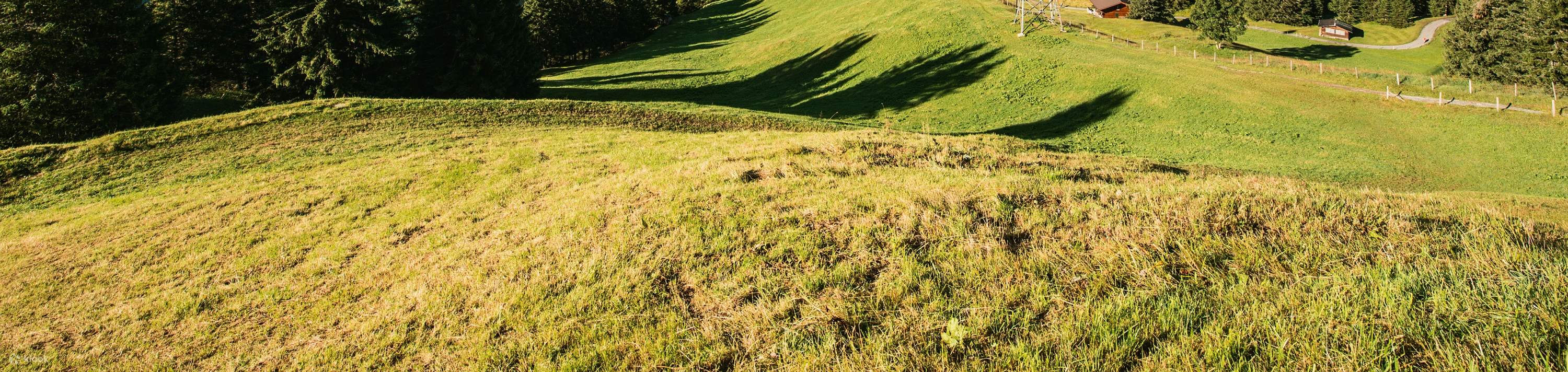 Grindelwald First - Top of Adventure Cable Car Ticket - Klook Singapore