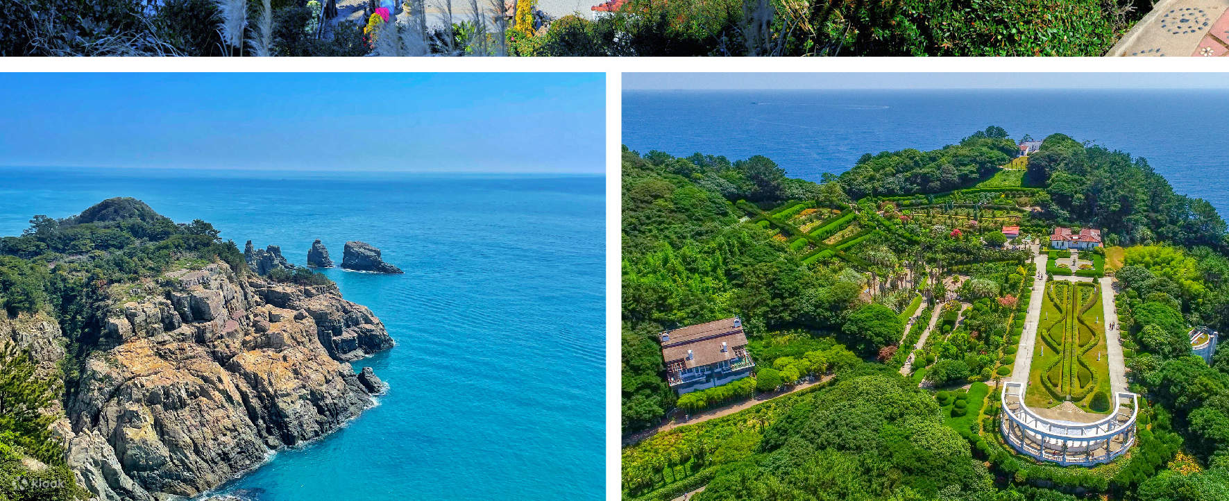 Special Oedo Island Day Tour from Busan - Klook