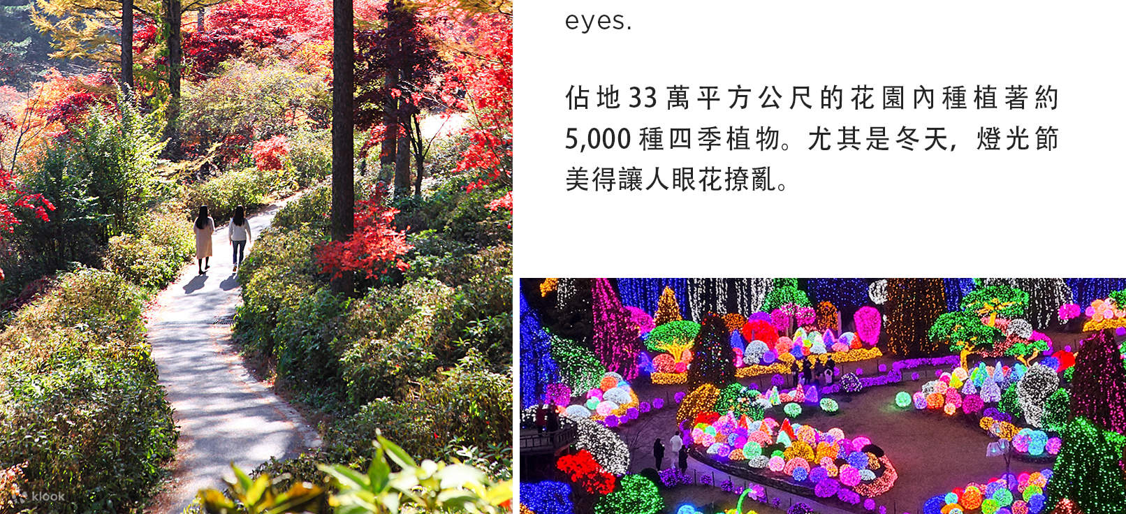 Nami & Mt.Seorak & Cable Car & Alpaca & Rail Bike & Morning Calm - Klook Singapore