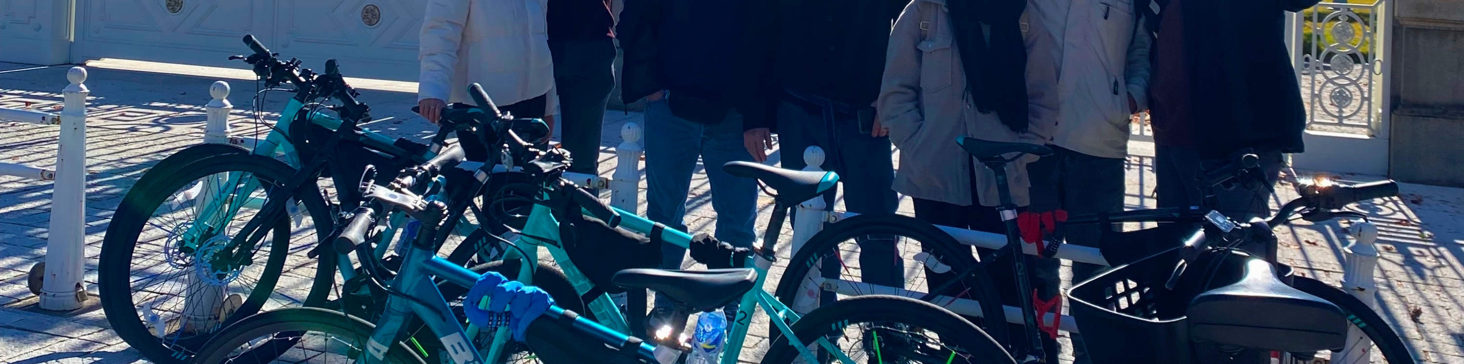 3-Hours Bike Tour of the City's Historic Sites in Tokyo - Klook